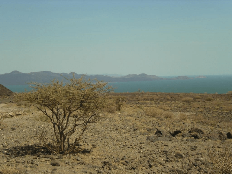 Lake Turkana l Largest of Its Kind - Our Breathing Planet