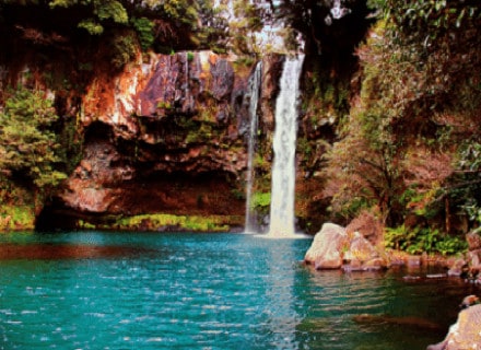 Jeju Island l Remarkable Biology - Our Breathing Planet