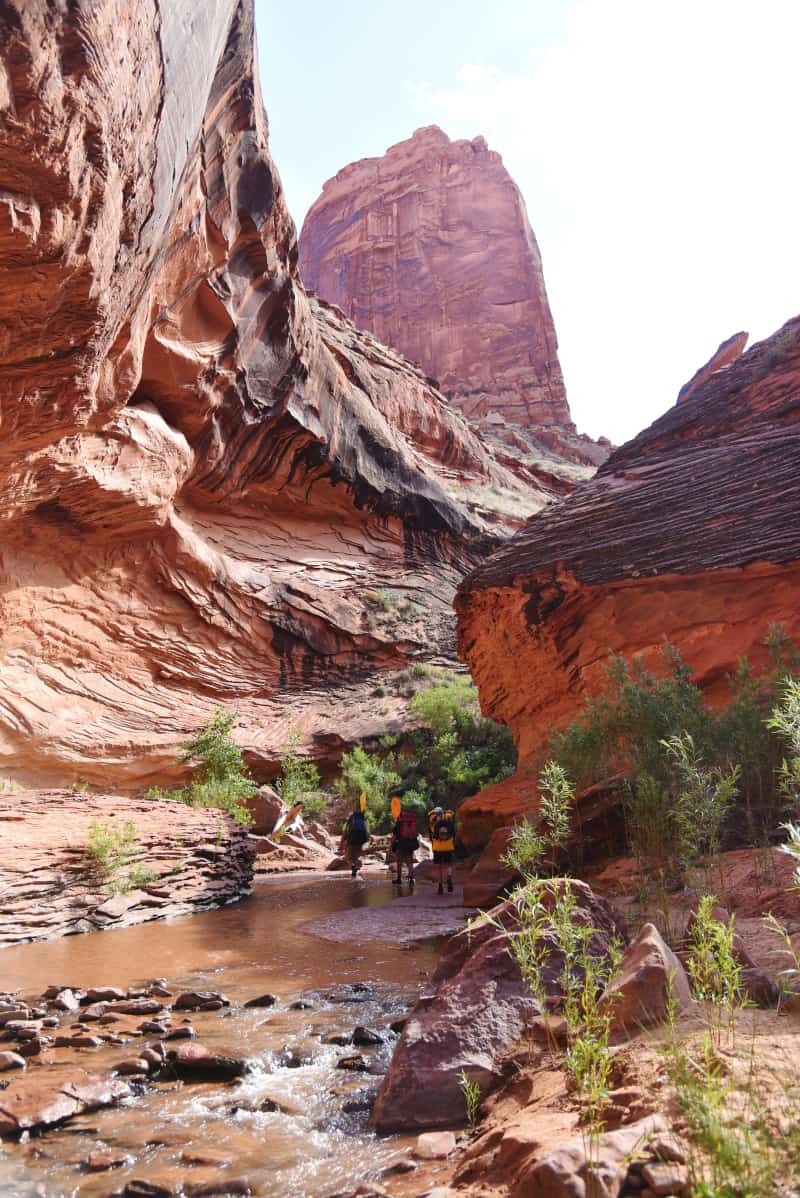 Coyote Gulch l Astounding Geology - Our Breathing Planet