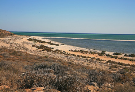 Shark Bay l Important Zoological Site - Our Breathing Planet
