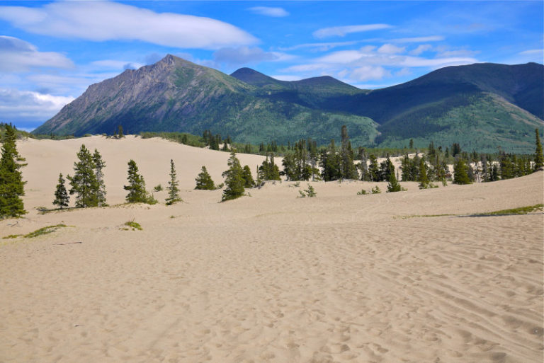 Carcross Desert l Shocking Site - Our Breathing Planet