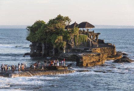 Bali l Breathtaking Biodiversity - Our Breathing Planet