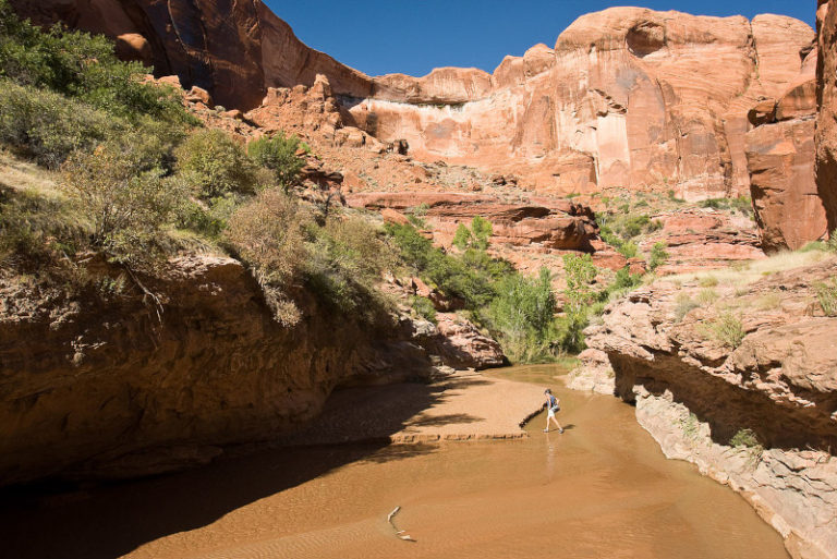 Coyote Gulch l Astounding Geology - Our Breathing Planet