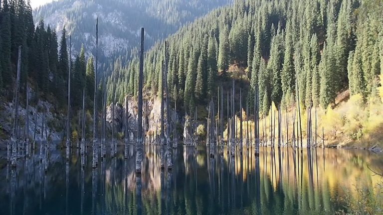 Onyx River l Antarctica's Most Important Glacial Stream