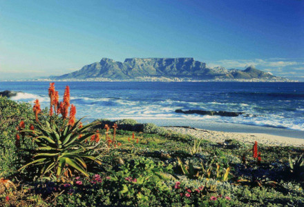 Table Mountain l Geological Marvel - Our Breathing Planet